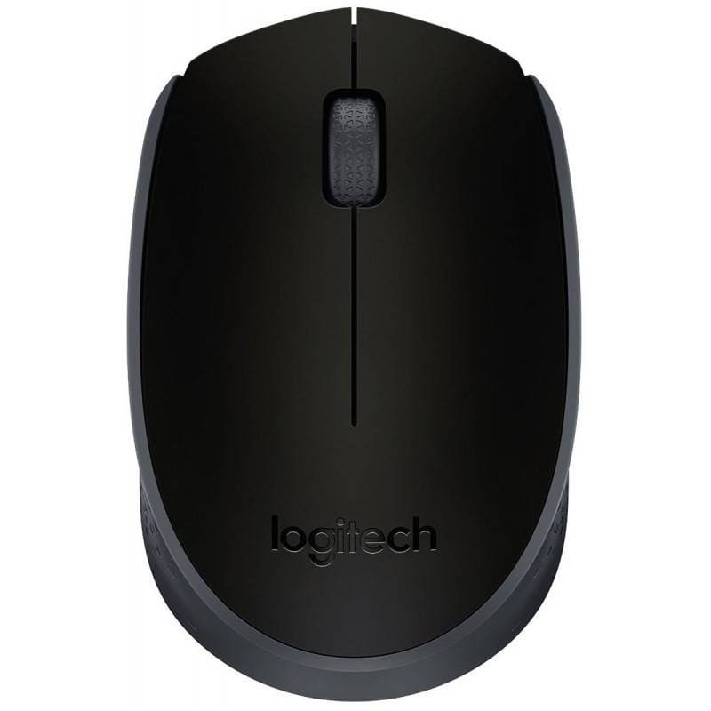 Souris Sans Fil Logitech M171 - Noir